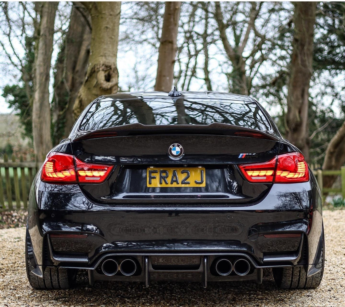 m4 custom plates