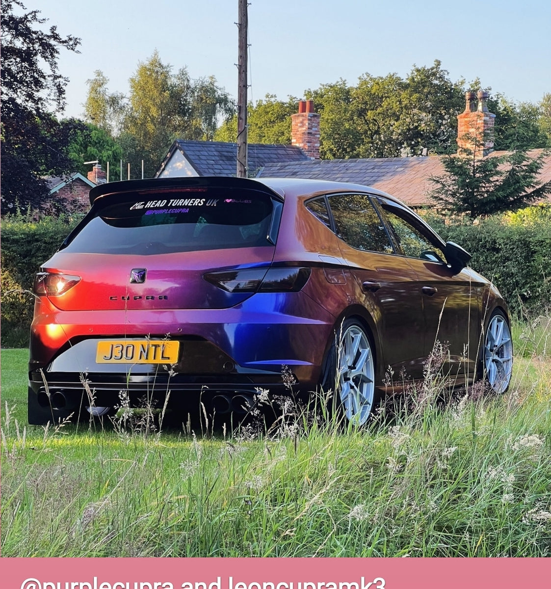 Purple Seat Cupra with some 4D gel plates – Delta Plates