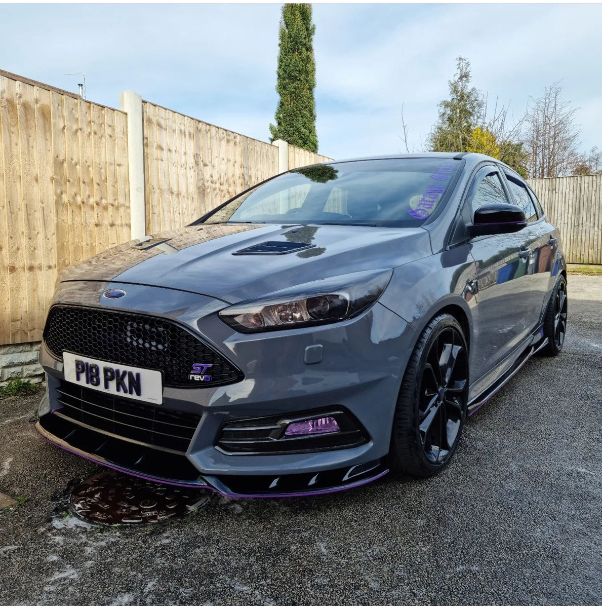 Ford Focus ST with some 4D gel plates – Delta Plates