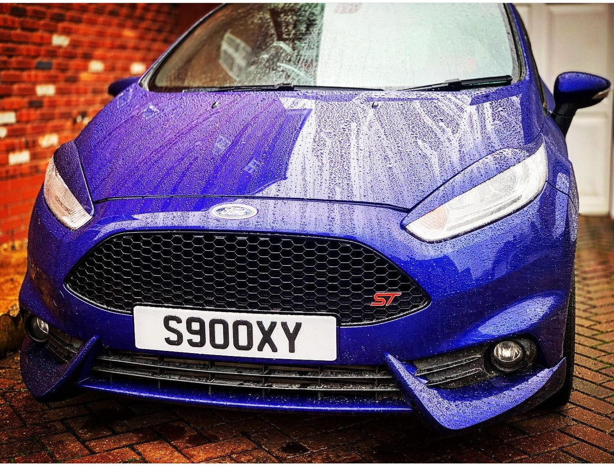 Ford Fiesta ST with some short 3D gel plates – Delta Plates