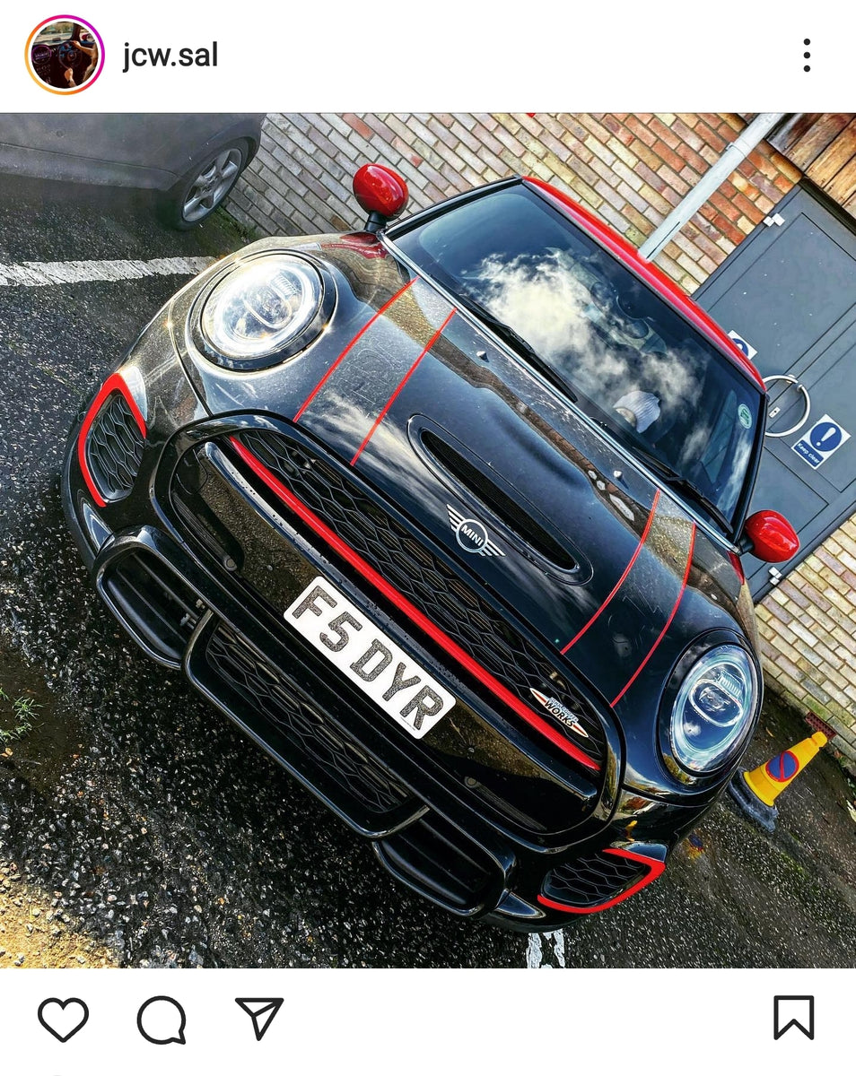 Mini Cooper JCW with some 4D gel plates – Delta Plates