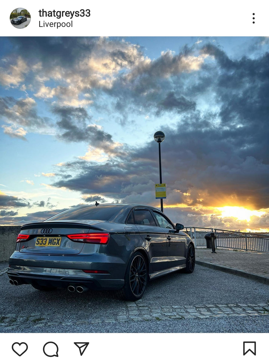 Audi S3 with some short 3D gel plates – Delta Plates
