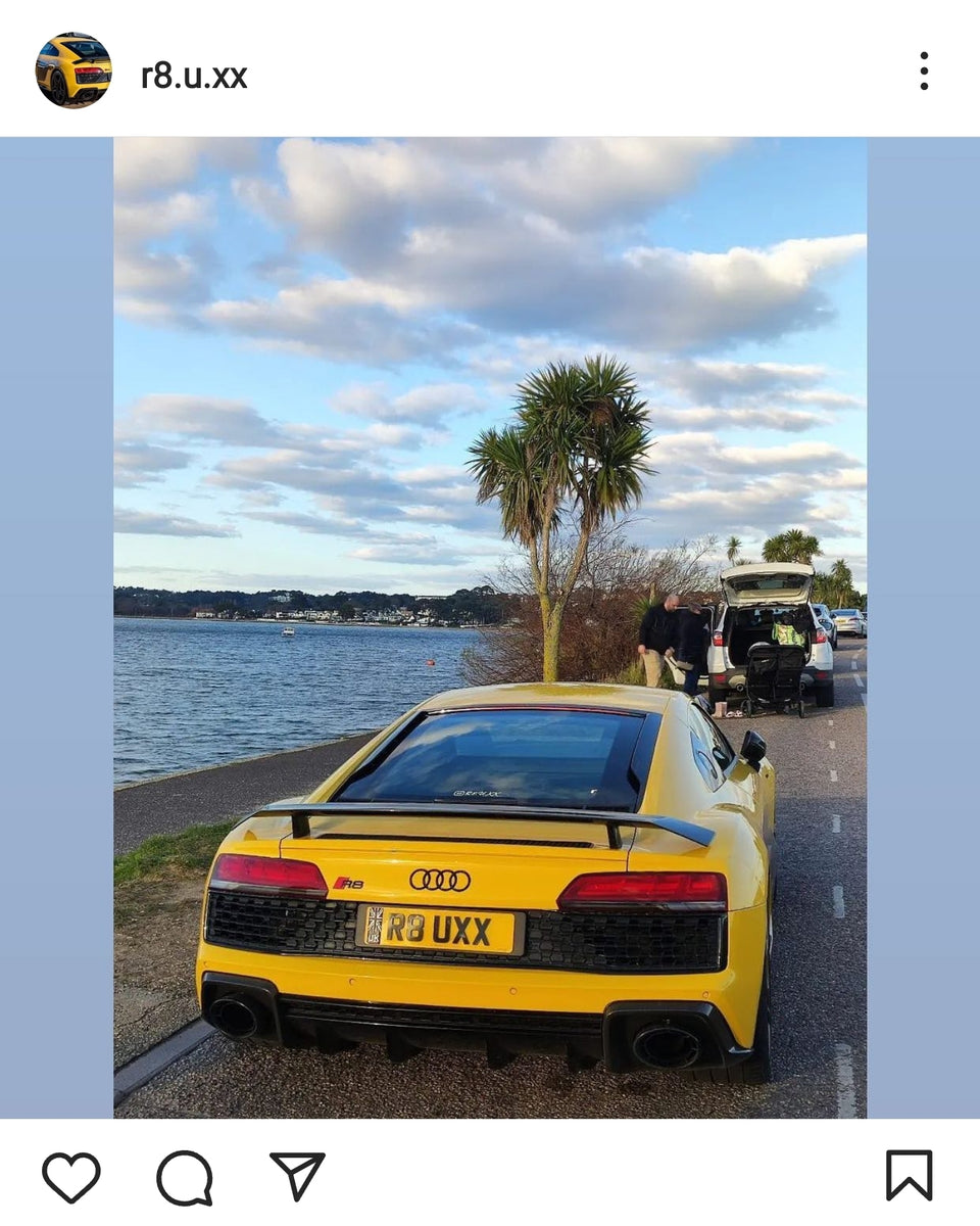 Audi R8 V10 Performance with some 4D plates – Delta Plates