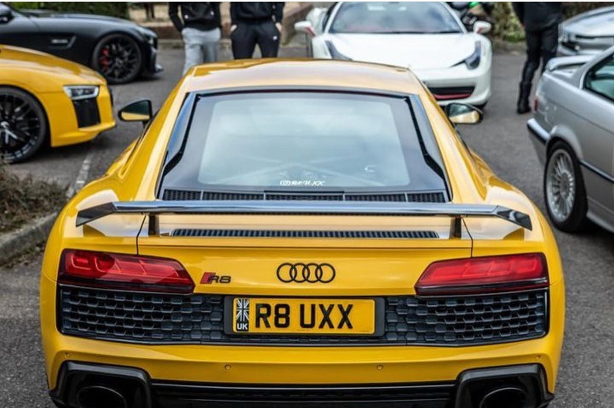 Audi R8 V10 Performance with some 4D plates – Delta Plates