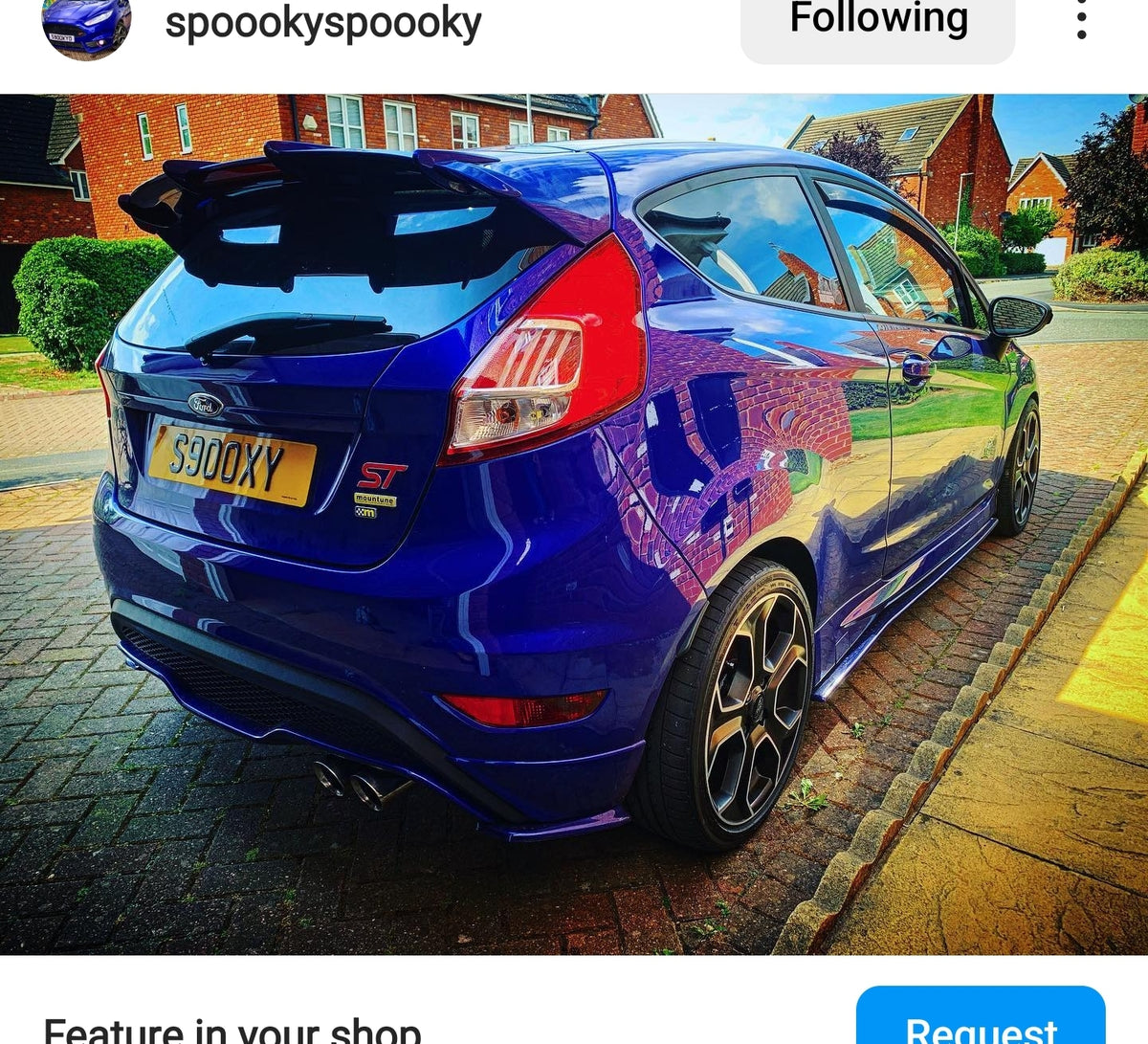 Ford Fiesta ST with some 3D gel plates – Delta Plates