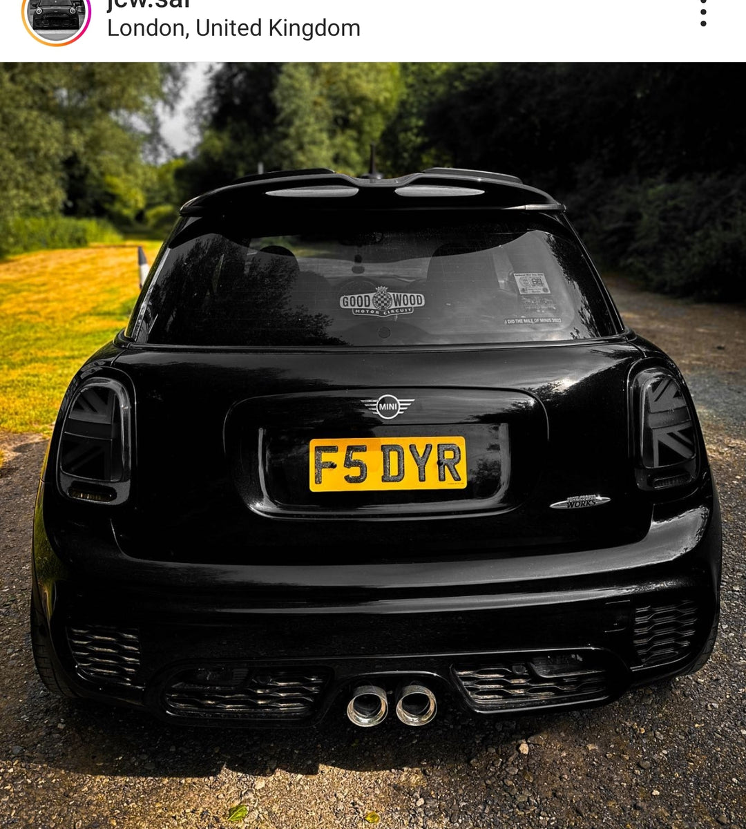 Mini Cooper JCW with some 3D gel plates – Delta Plates