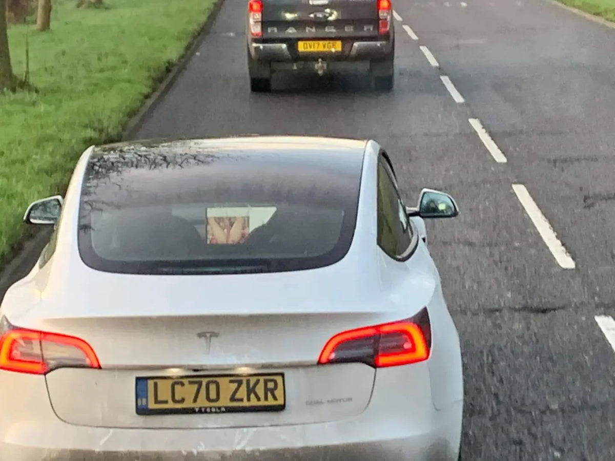 We also sell EV plates in 3D and 4D format – Delta Plates